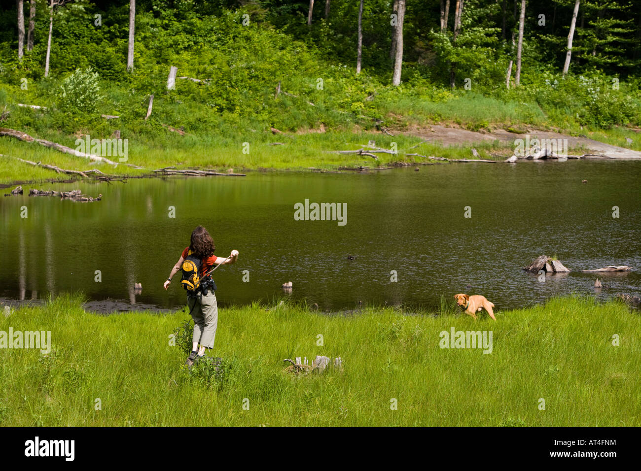 Eden vermont hi-res stock photography and images - Alamy