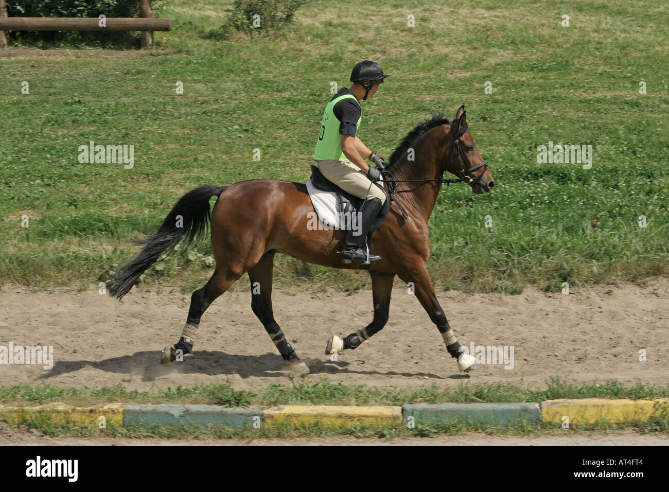 Three day eventer hi-res stock photography and images - Alamy