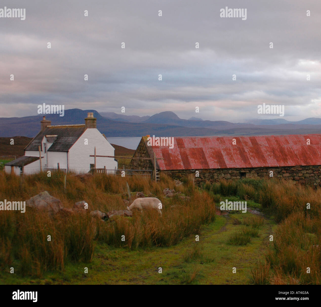 Highland croft hi-res stock photography and images - Alamy