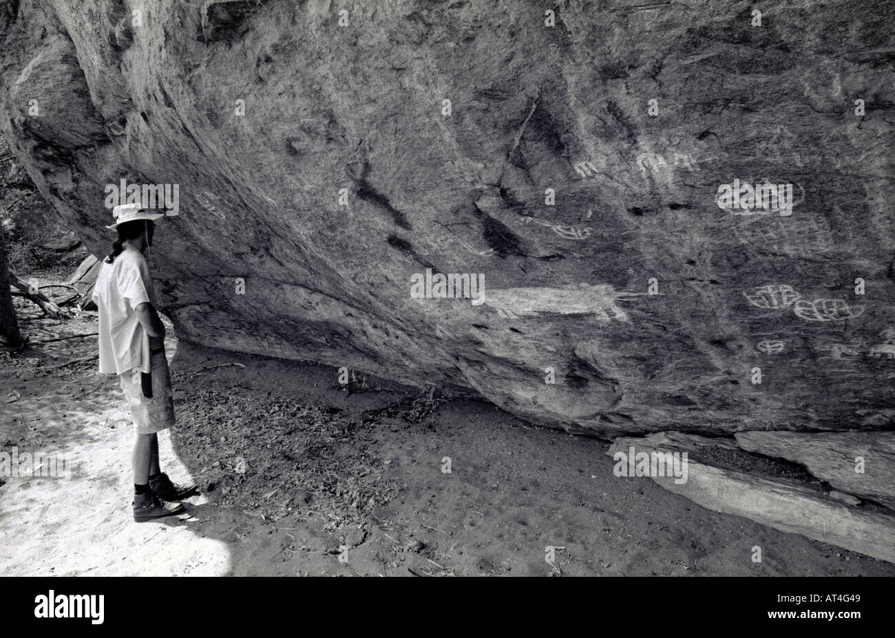Rock paintings Tsodilo hills Botswana Africa Stock Photo - Alamy