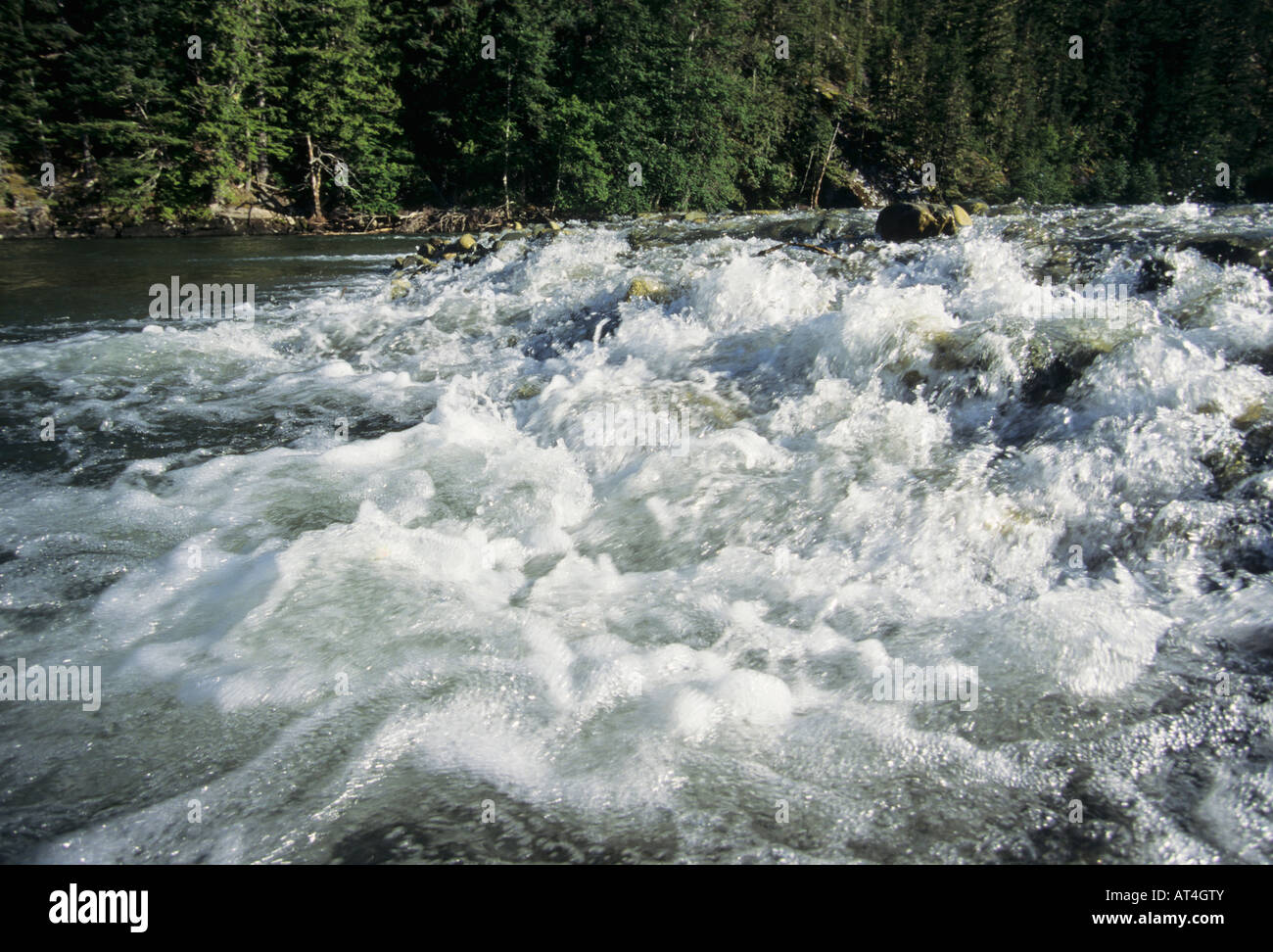 Dean river british columbia hi-res stock photography and images - Alamy