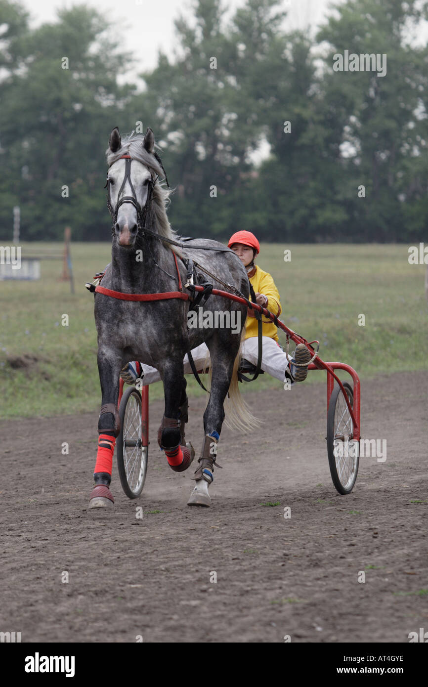 Old racing horse riding stable hi-res stock photography and images - Alamy
