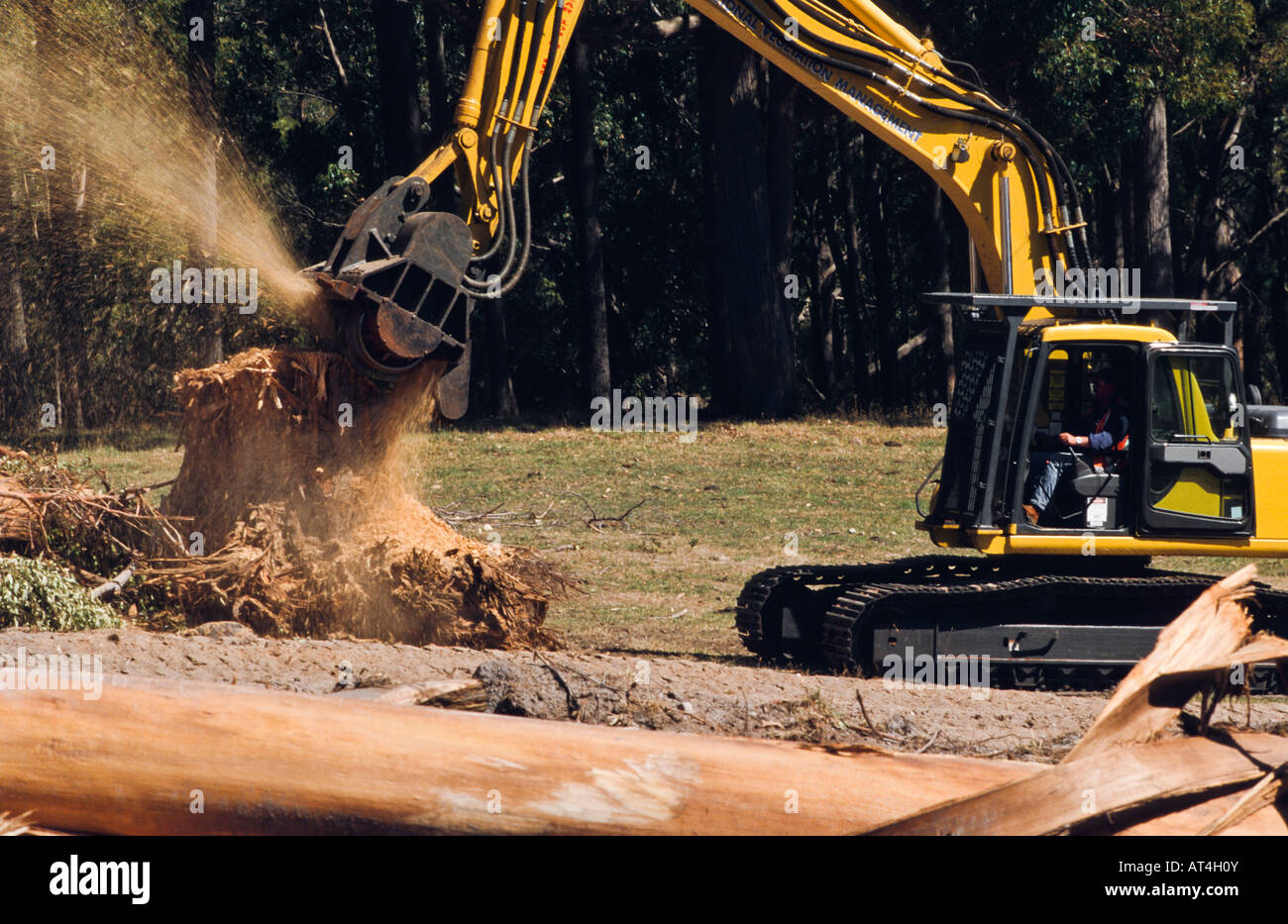 Stump grinder tree hi-res stock photography and images - Alamy