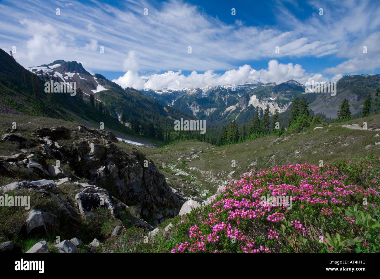 Mount Baker Snoqualmie National Forest WA Morning clouds over the peaks ...