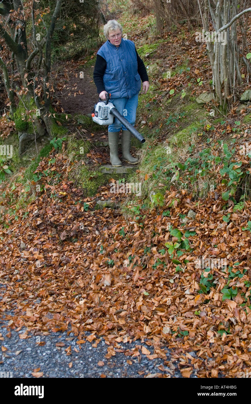 COLLECTING AUTUMN LEAVES USING BLOWER TO MOVE LEAVES FROM STEPS Stock ...