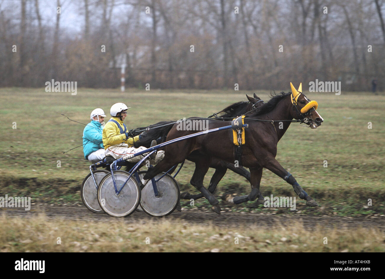 American animal racing hi-res stock photography and images - Alamy