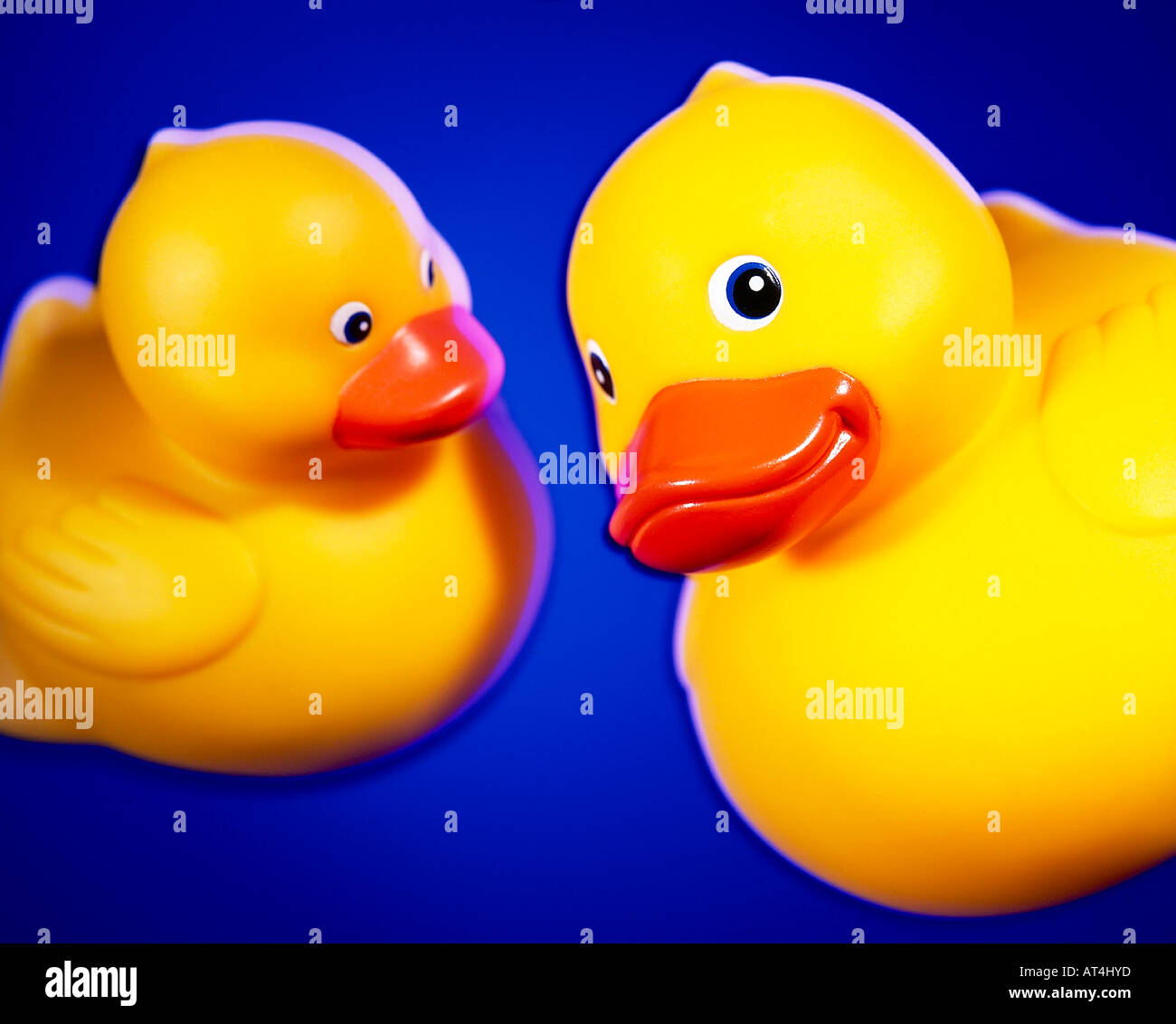 Retro ducks hi-res stock photography and images - Alamy