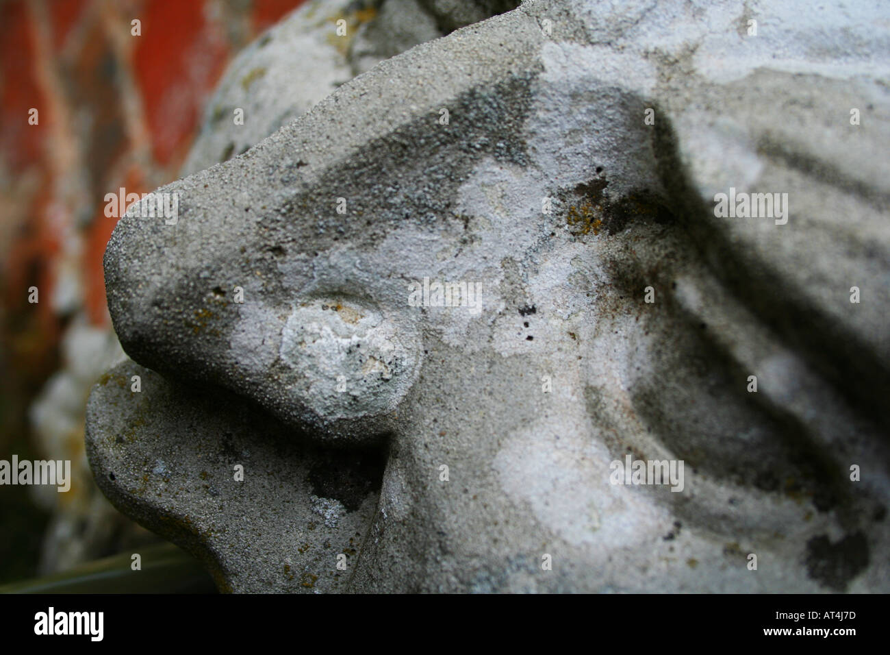 Stoney ground garden hi-res stock photography and images - Alamy