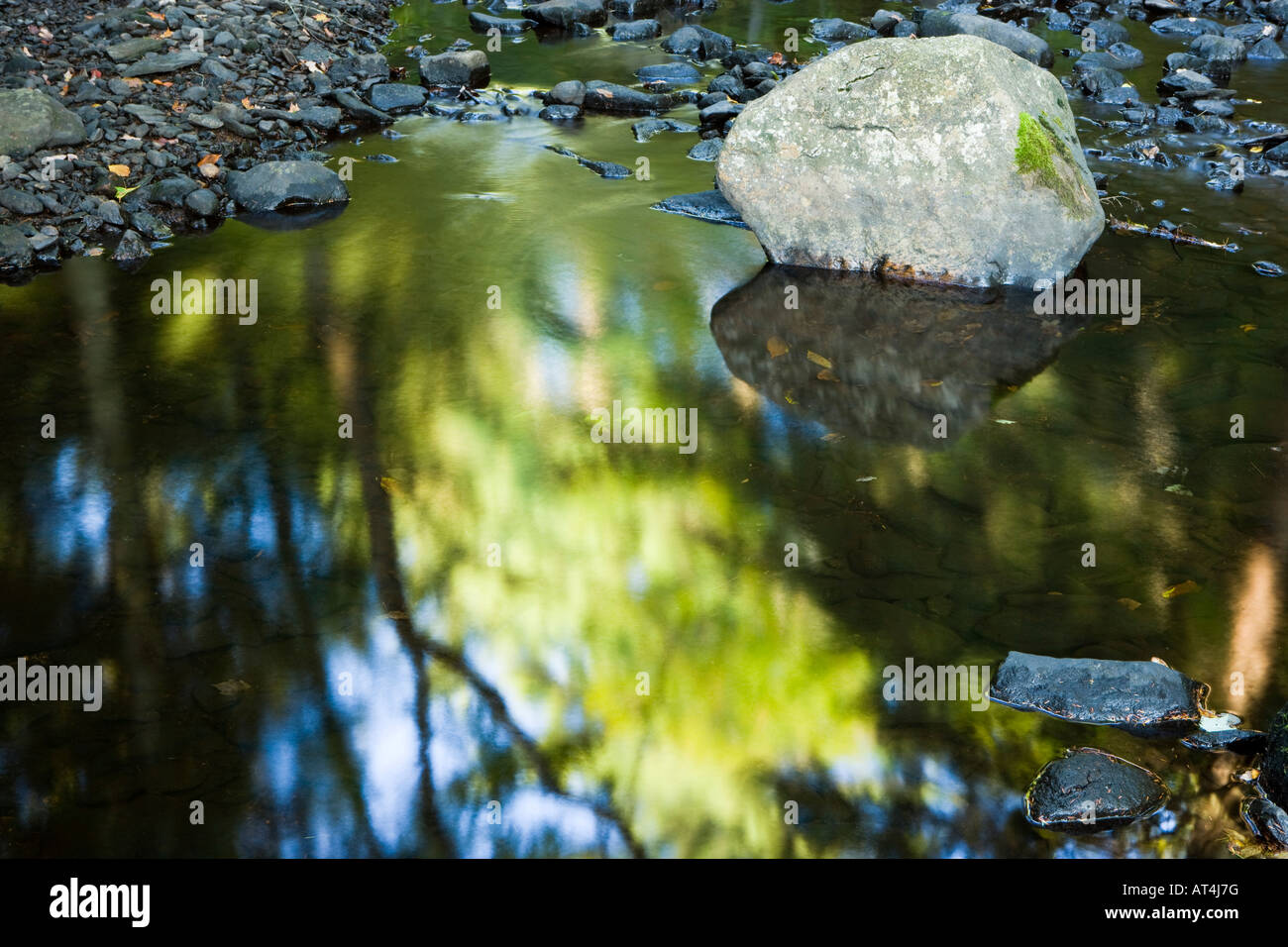Tree reflections in the Isinglass River in Strafford, New Hampshire ...