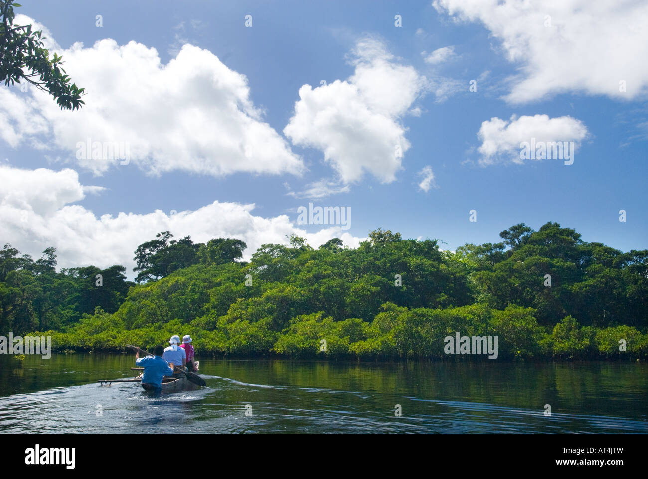wetlands mangroves trail Samoa Upolu south coast near SAANAPU Saanapu ...