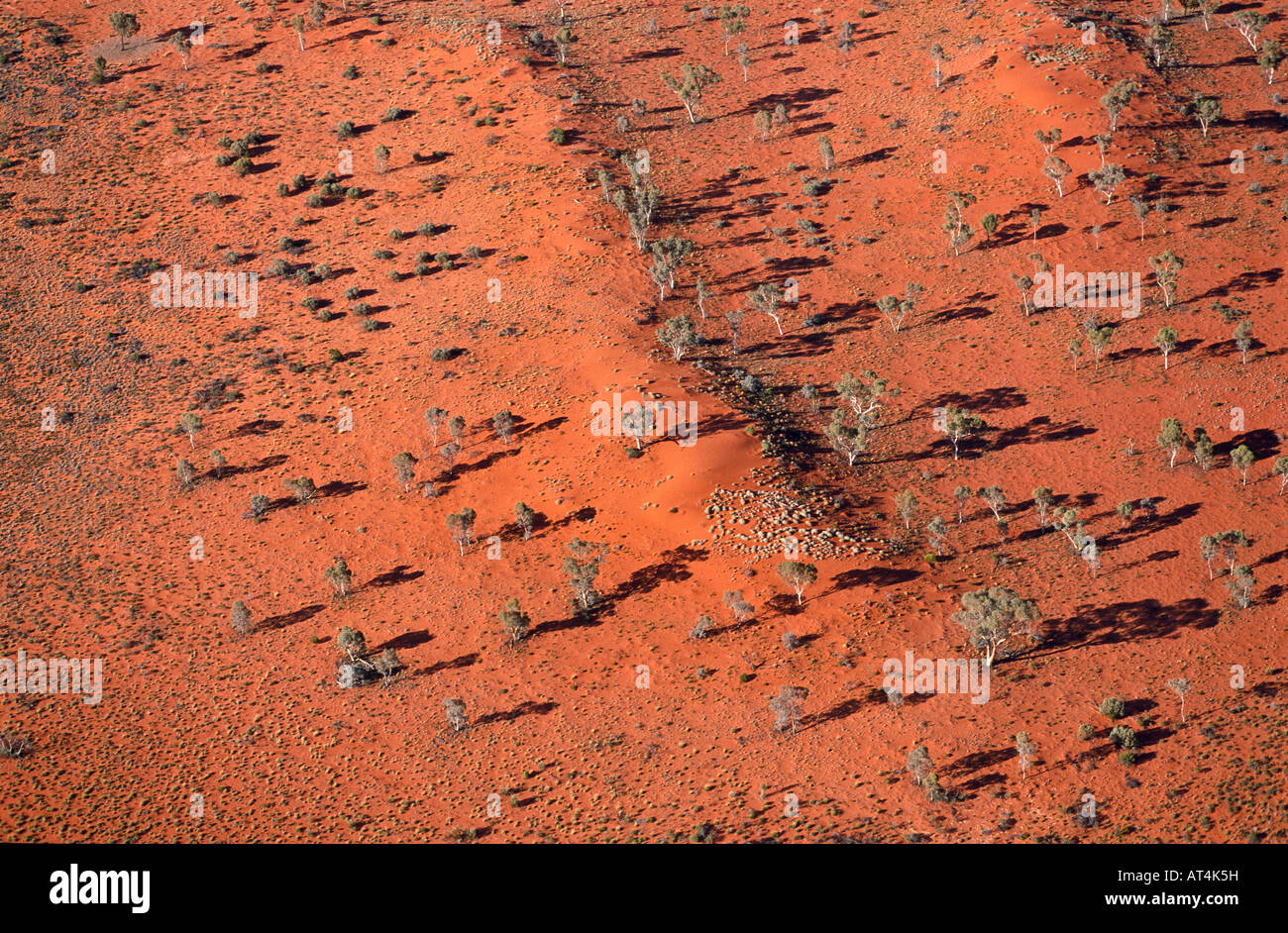 Desert landscape, outback Australia Stock Photo - Alamy