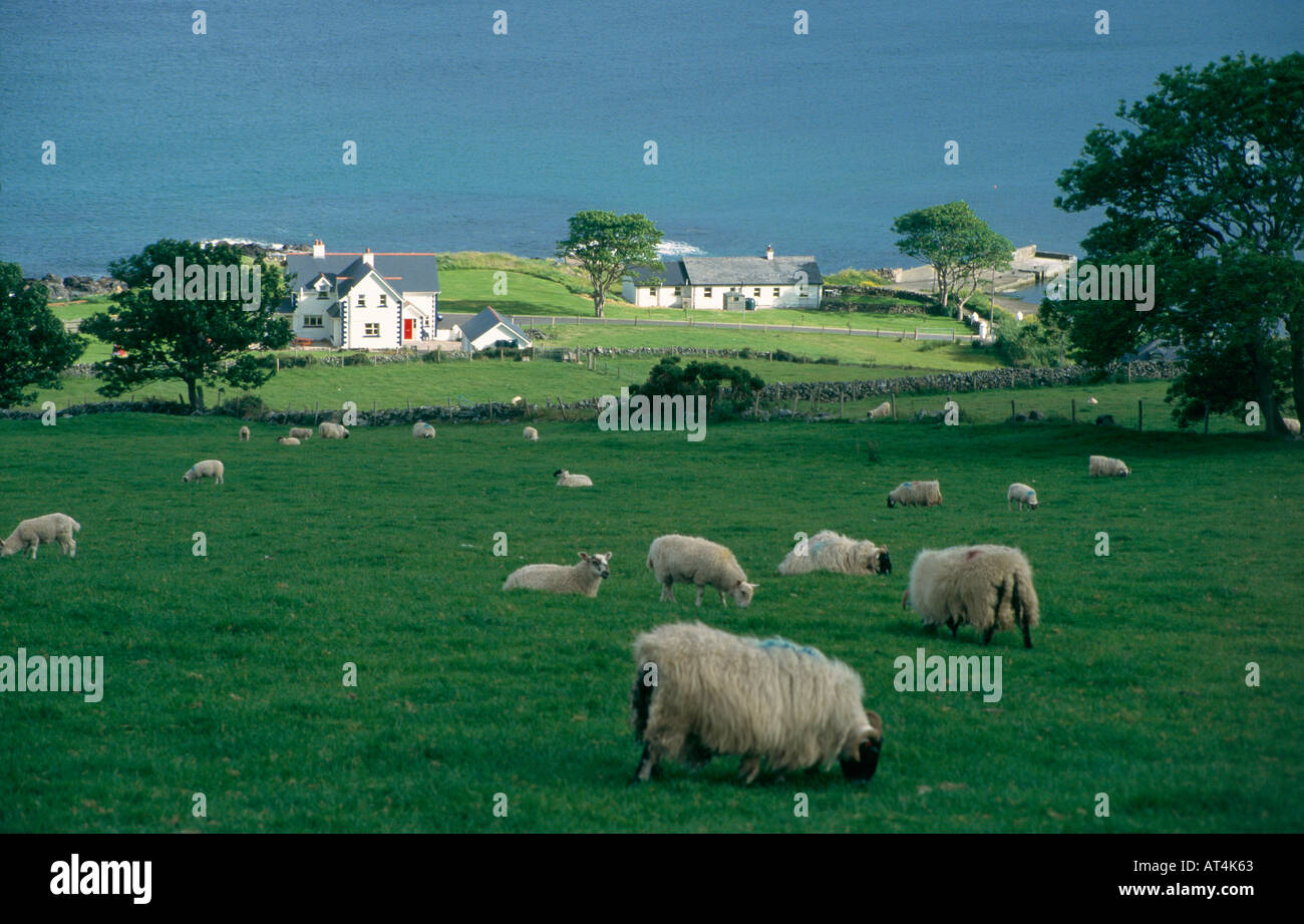 Typical Landscape Near Cushendun Bay Northern Ireland Stock Photo - Alamy