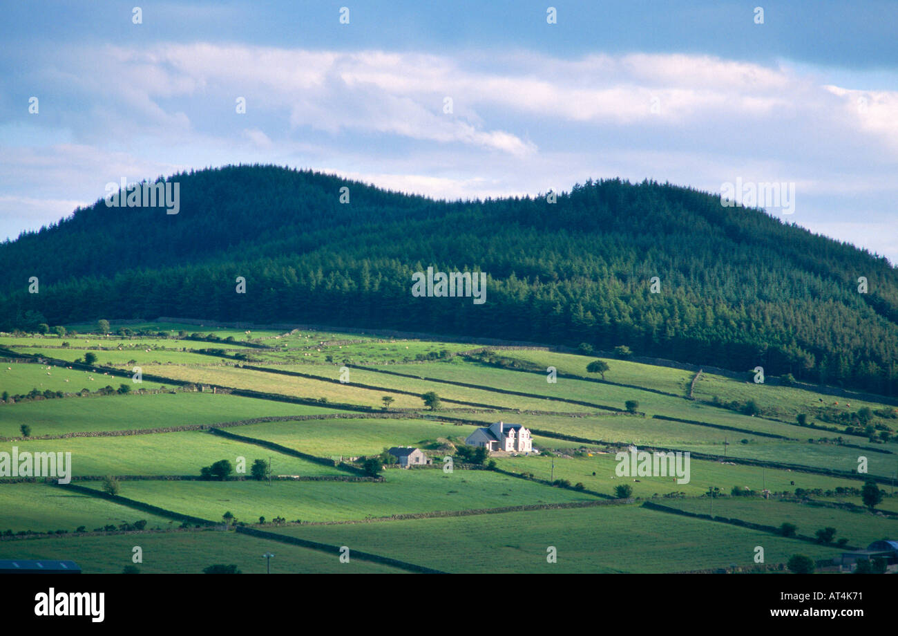 Ireland, farm, landscape hi-res stock photography and images - Alamy