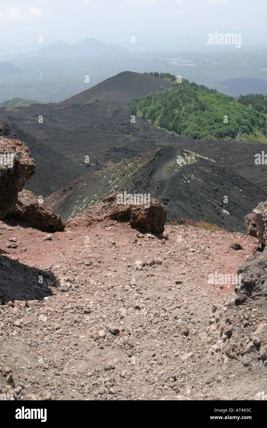 Secondary cone hi-res stock photography and images - Alamy