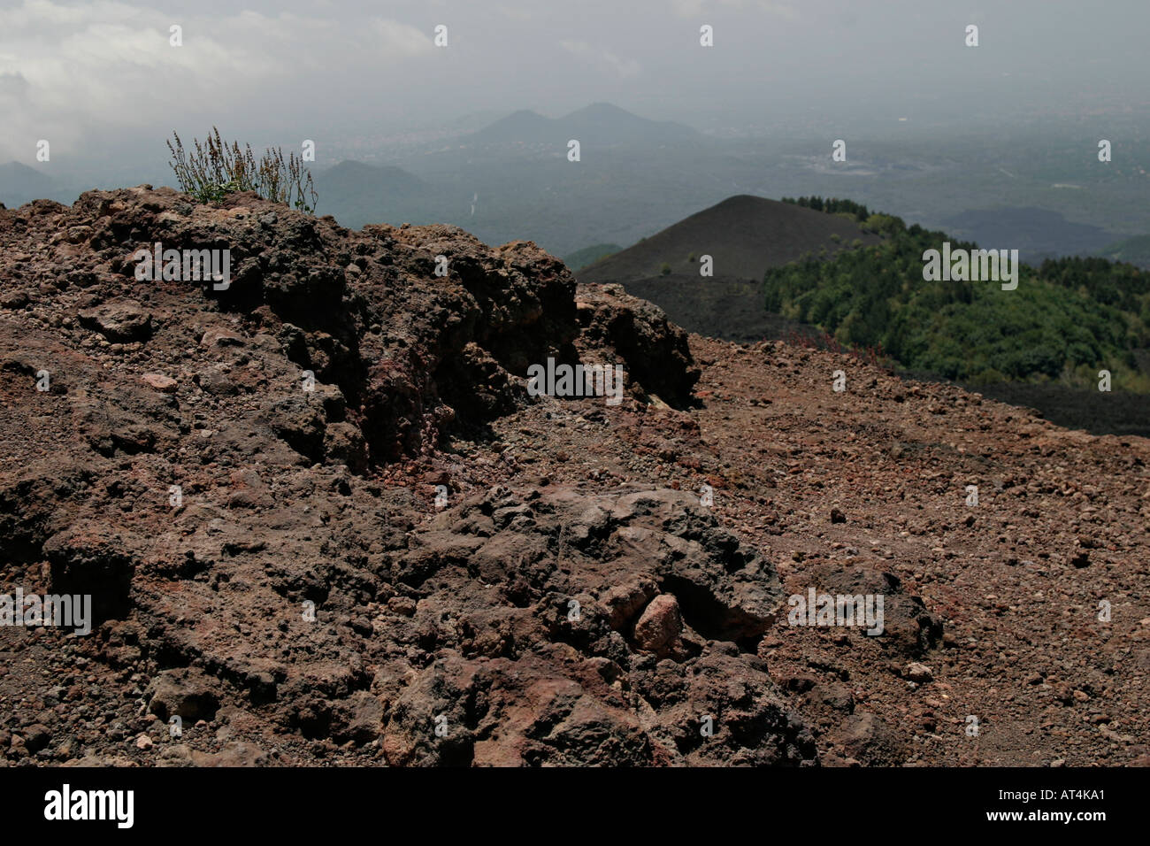 Secondary Cone High Resolution Stock Photography and Images - Alamy