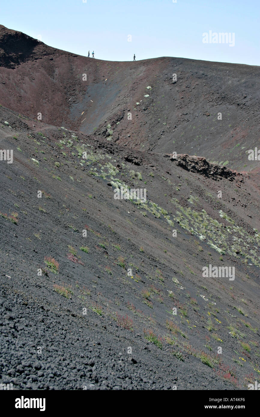 Secondary Cone High Resolution Stock Photography and Images - Alamy