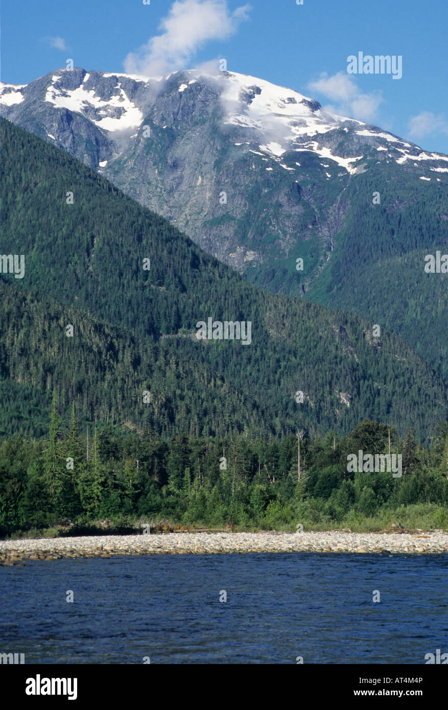 View of the Dean river with coast mountains in background British ...