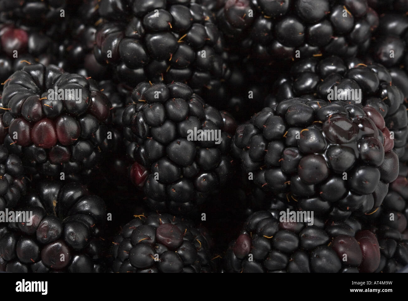 Closeup of ripe organic Raspberries fruits with cereal photo studio ...