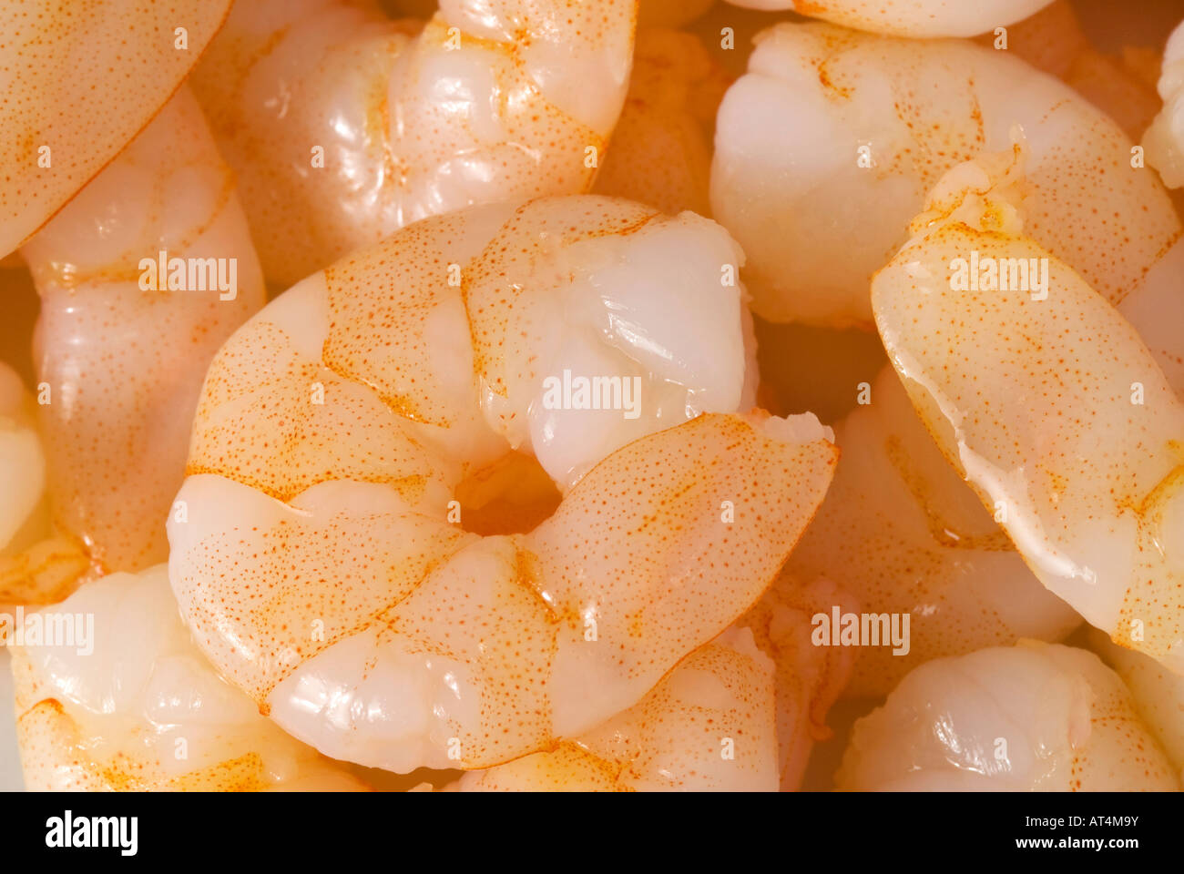 King prawn dish hi-res stock photography and images - Alamy