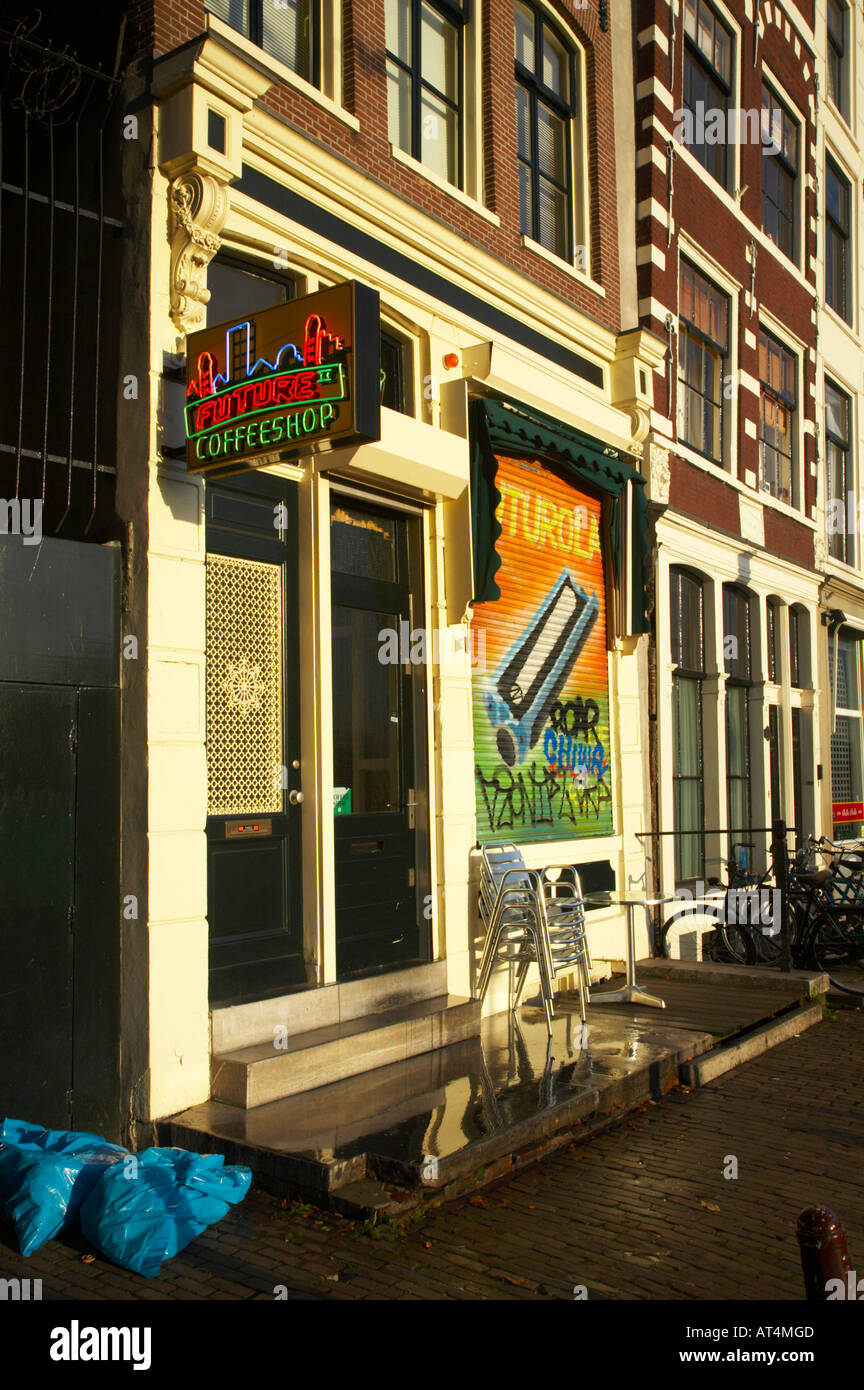 Cannabis future hi-res stock photography and images - Alamy