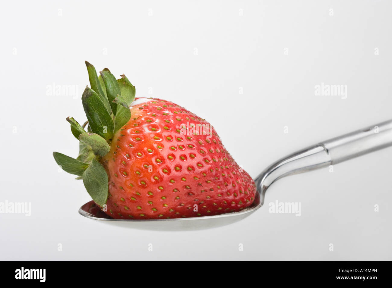 Foreground pictures Cut Out Stock Images & Pictures - Alamy