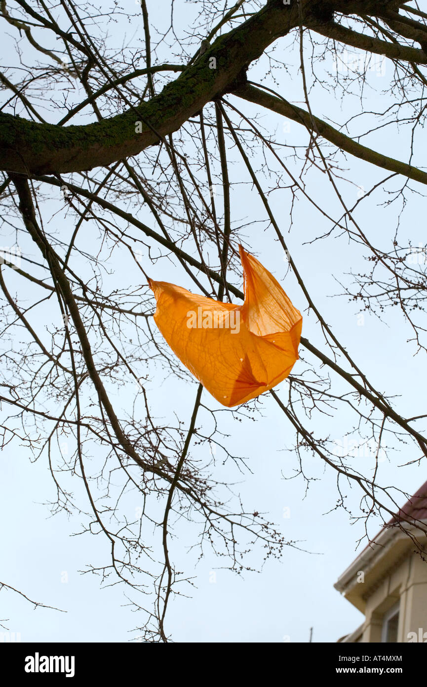 Discarded plastic bag caught in the branches of a tree Stock Photo - Alamy