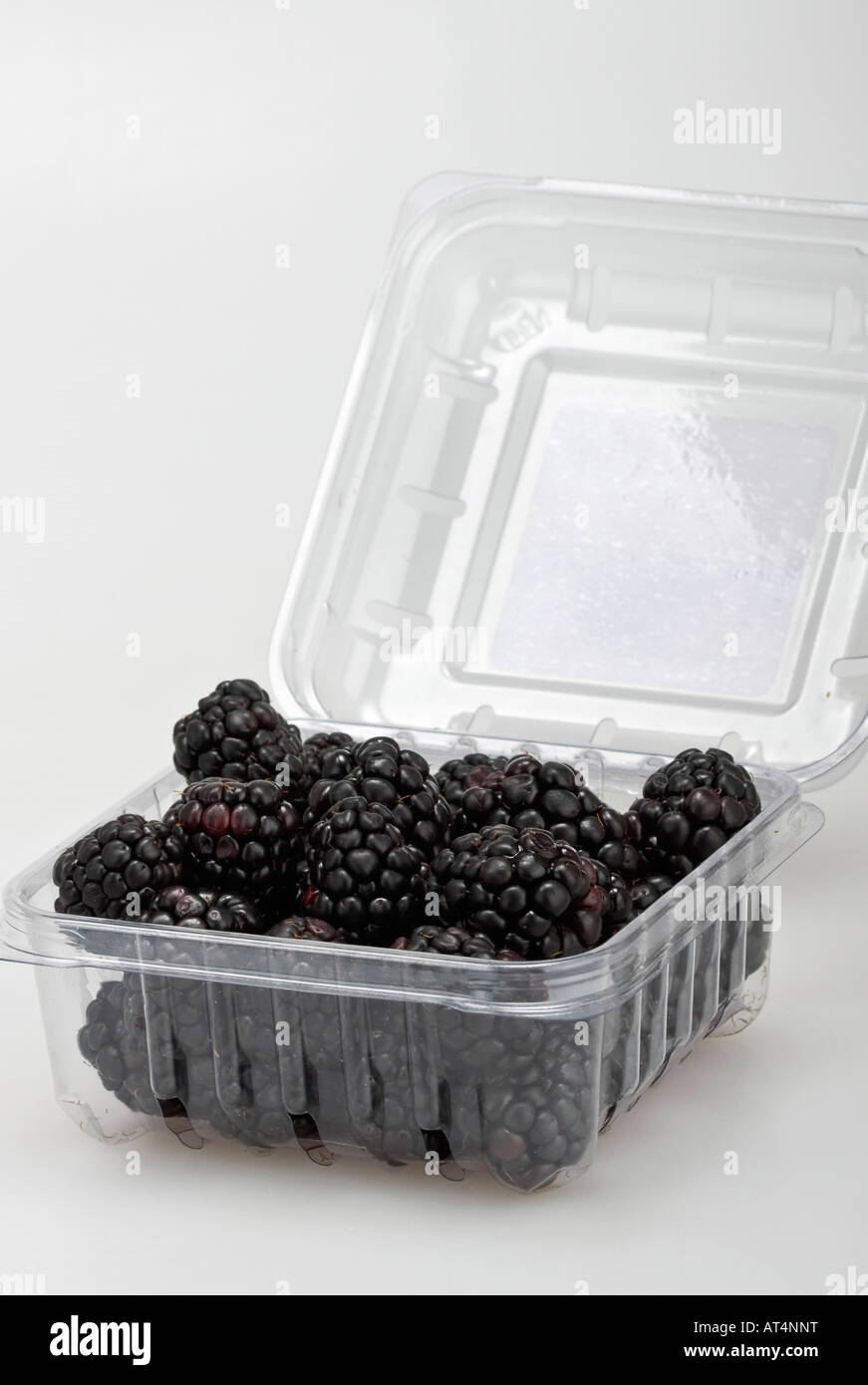 Blackberries fruit in plastic container selling at farmers market ...
