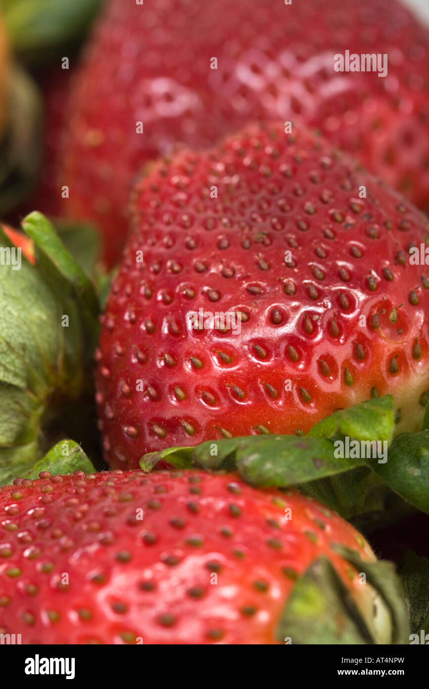 Closeup of ripe organic Strawberries fruits and seeds leaves photo ...