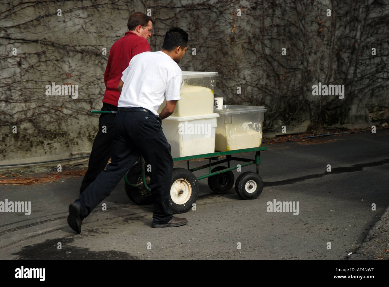 Two men pushing cart carrying containers of fresh dough at a winery in ...