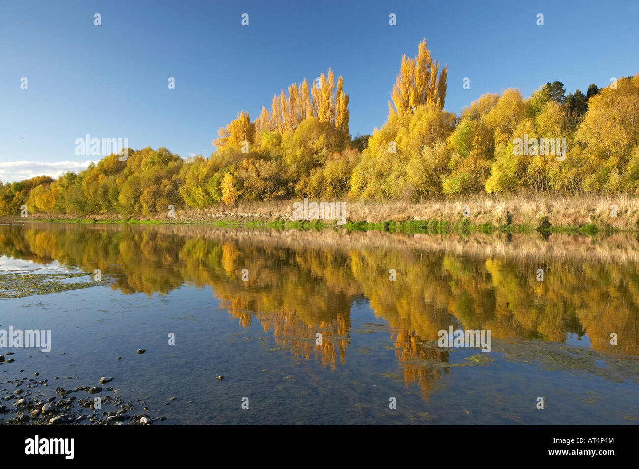 Autumn Colour and Tukituki River Hawkes Bay North Island New Zealand ...