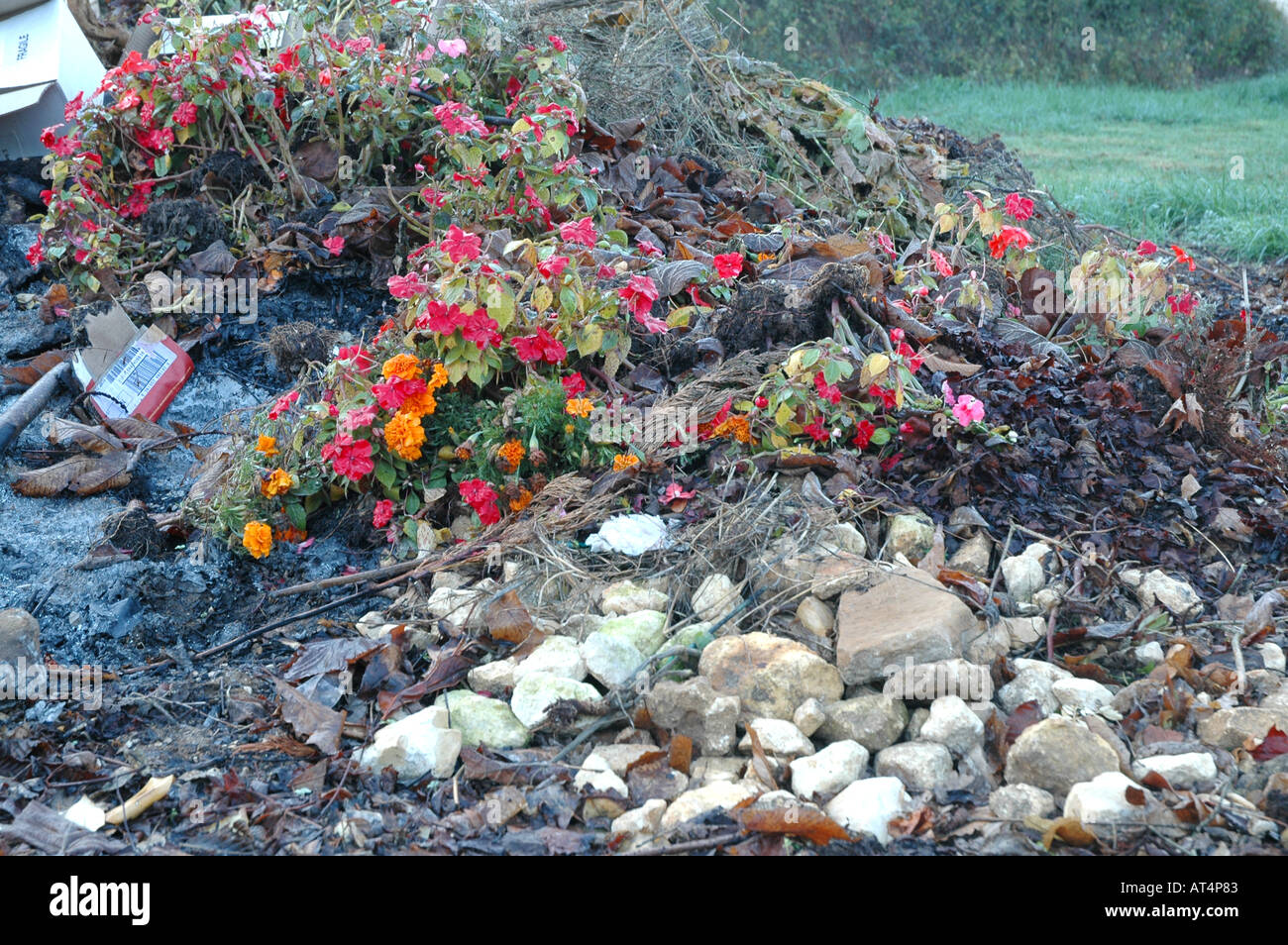 Flowers on the trash Stock Photo - Alamy