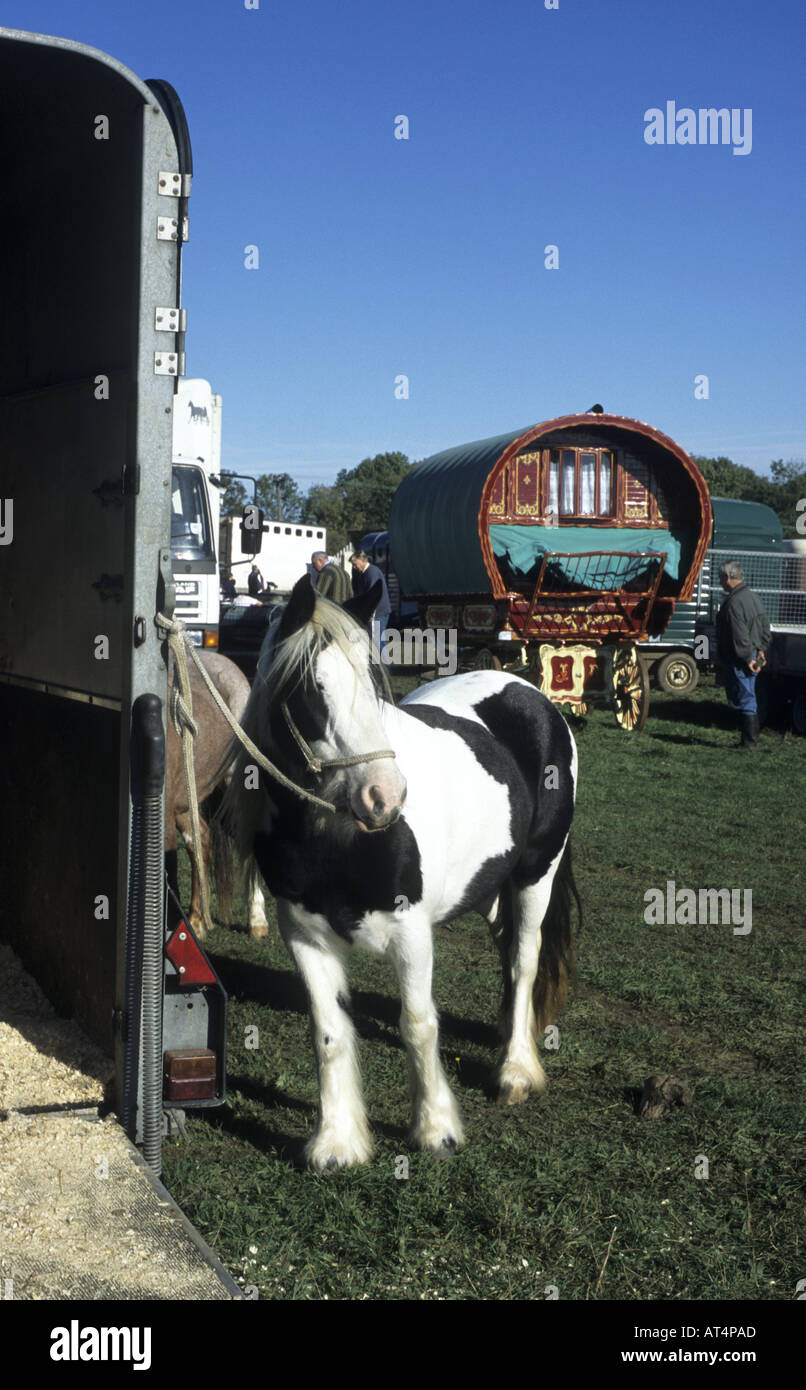 Horse and traditional gypsy caravan at Stow Horse Fair, Stow-on-the ...