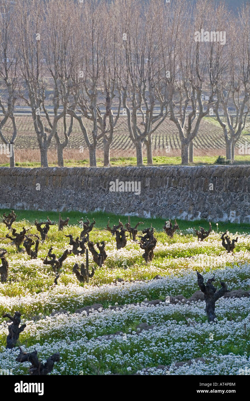 Provence winter hi-res stock photography and images - Alamy
