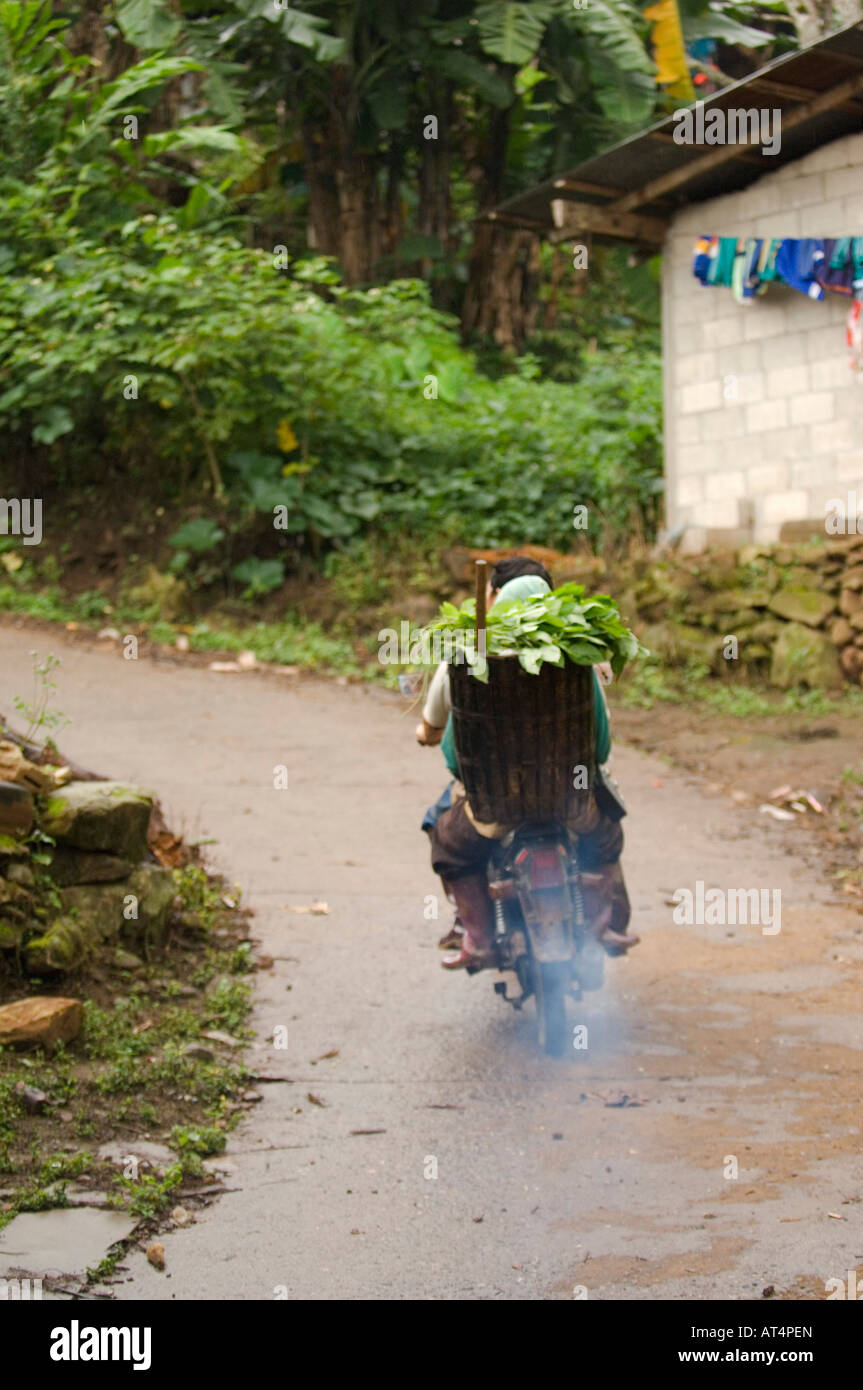 Indigenous people of the Hmong village Baan Pha Nok Kok driving home ...