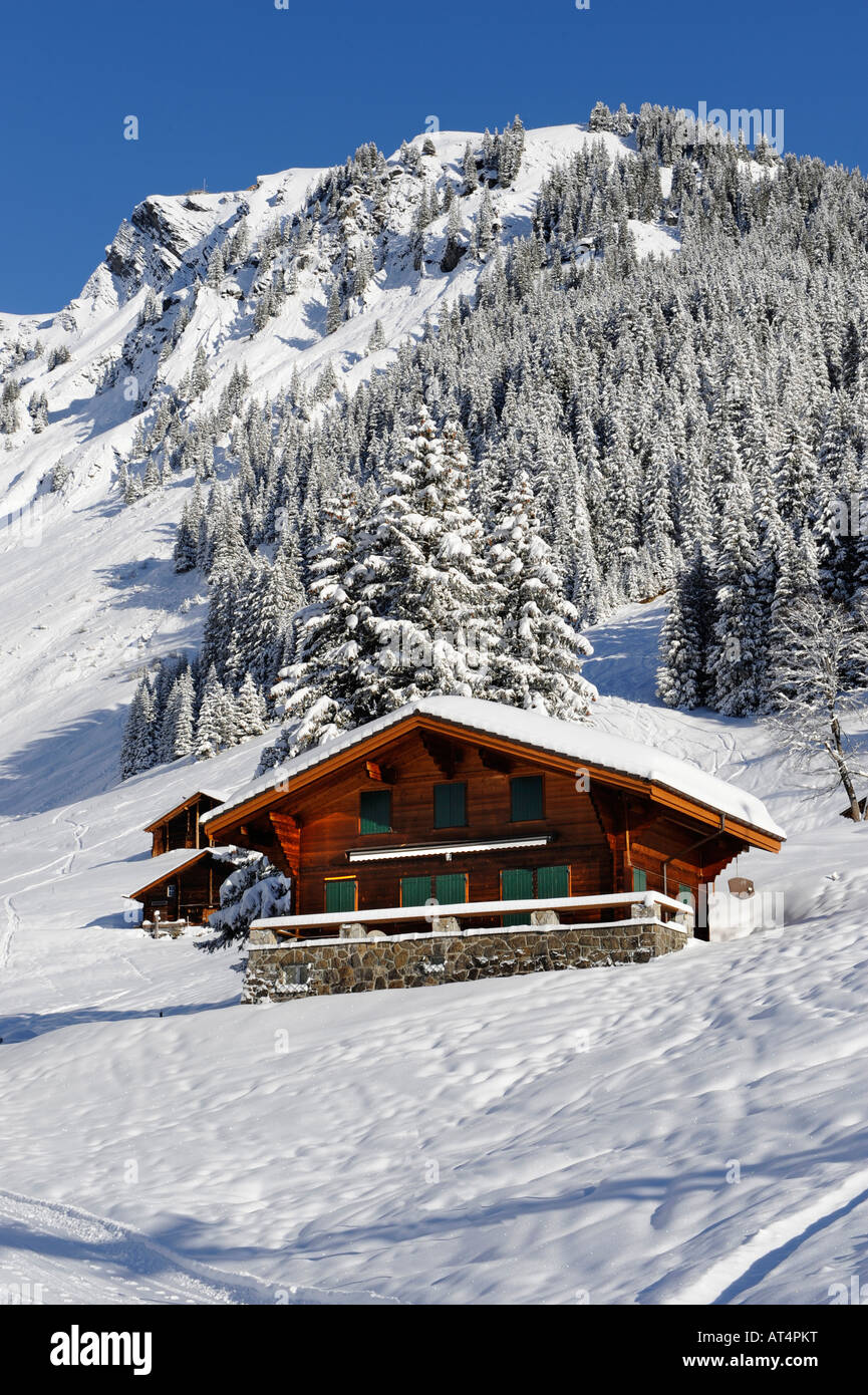 Swiss Chalet Alps