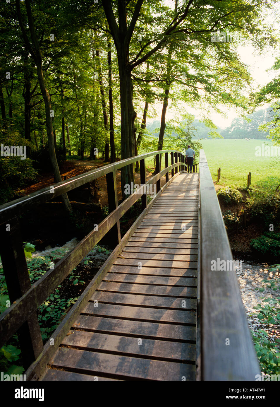 UK Cheshire Wilmslow Styal Norcliffe Hall Gardens woodland bridge over ...
