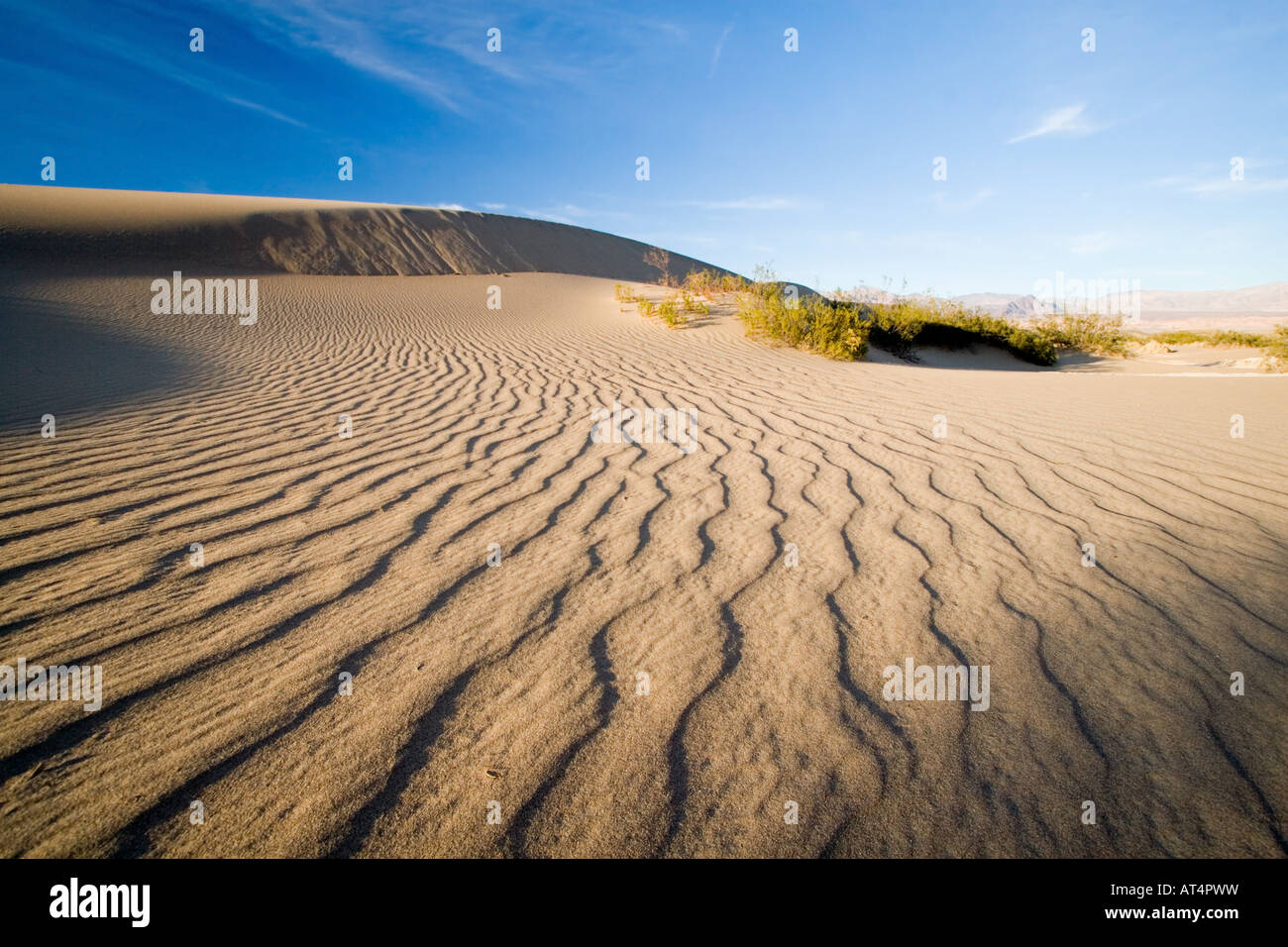 Texture and shadow on the desert sand dunes Stock Photo - Alamy