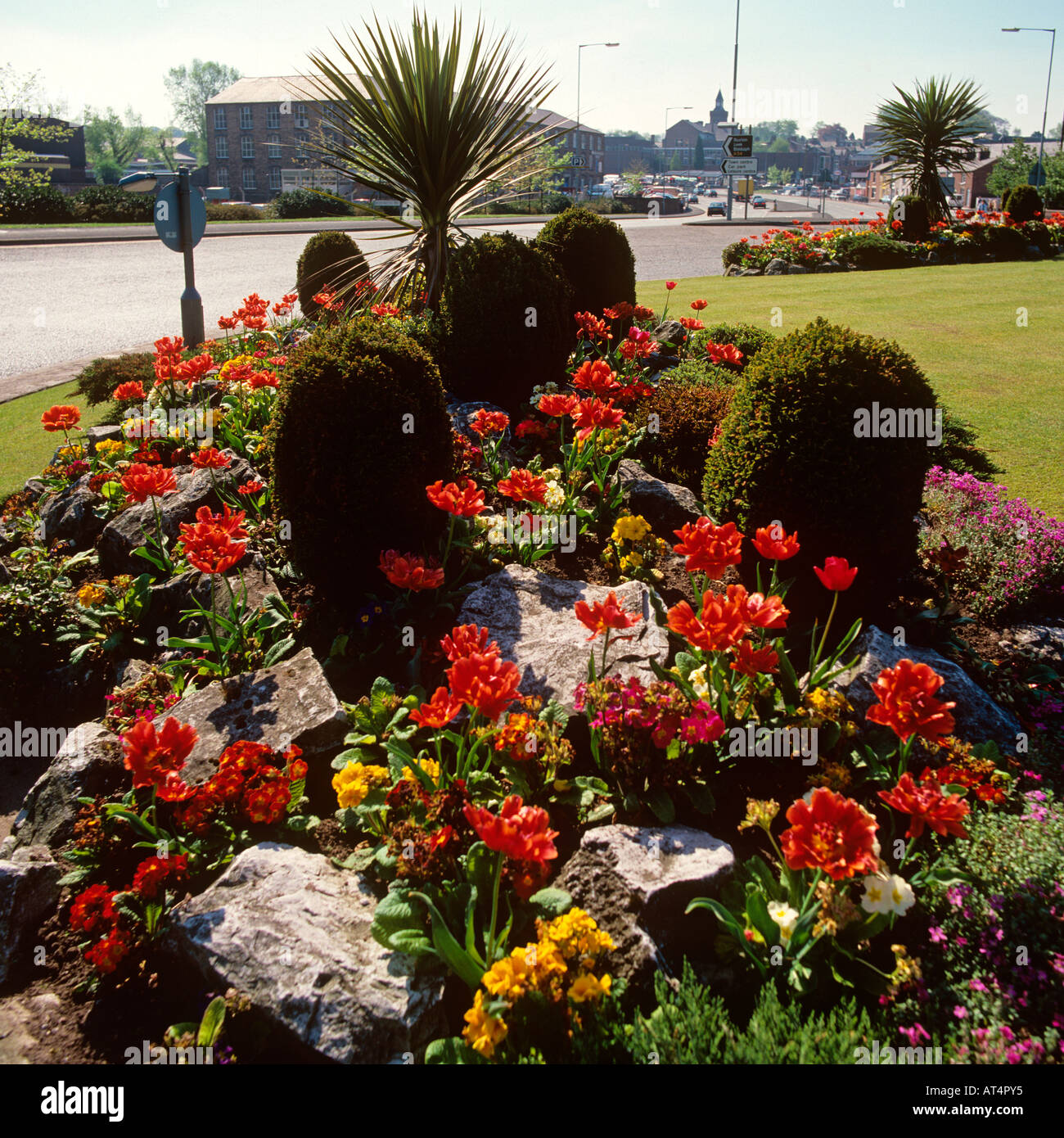 UK Cheshire Congleton civic improvement floral traffic roundabout Stock ...