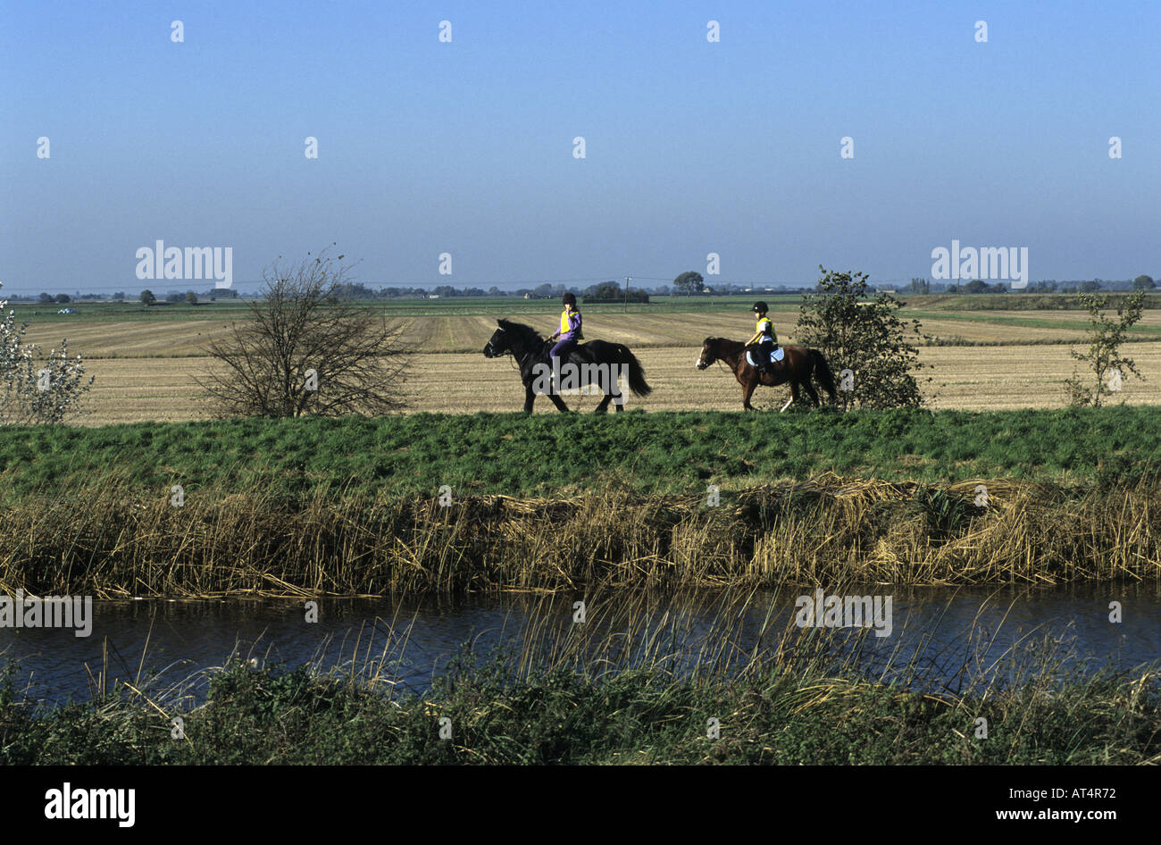 Horse riders on The Fens near Manea, Cambridgeshire, England, UK Stock ...