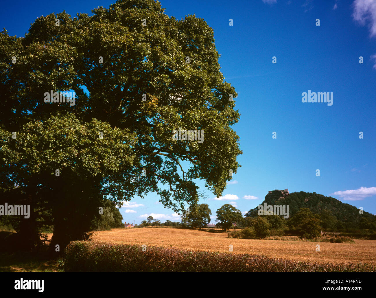Beeston hill hi-res stock photography and images - Alamy