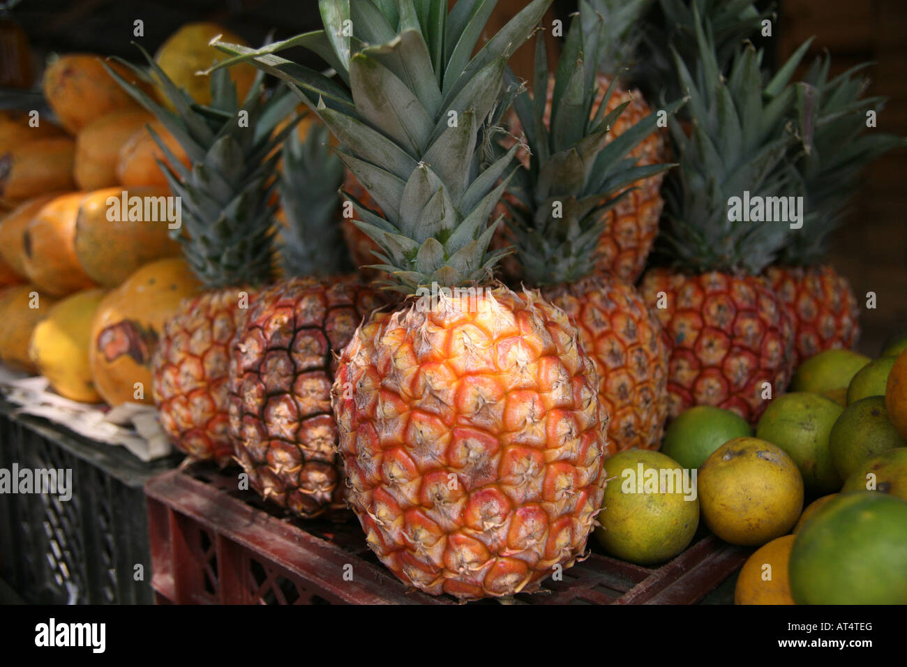 Fruits are Colombians export products Stock Photo - Alamy