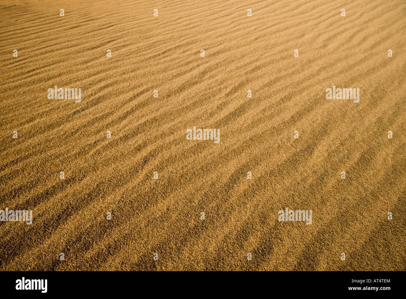 Texture and shadow on the desert sand dunes Stock Photo - Alamy