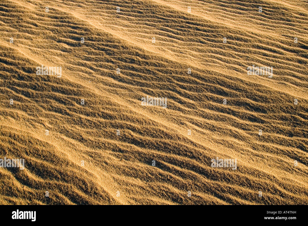 Texture and shadow on the desert sand dunes Stock Photo - Alamy