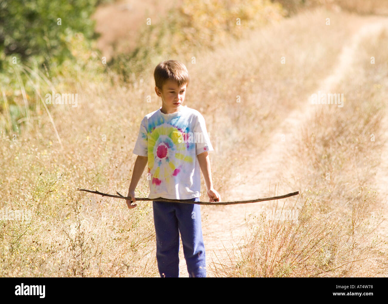 boy carring stick on hike Stock Photo - Alamy
