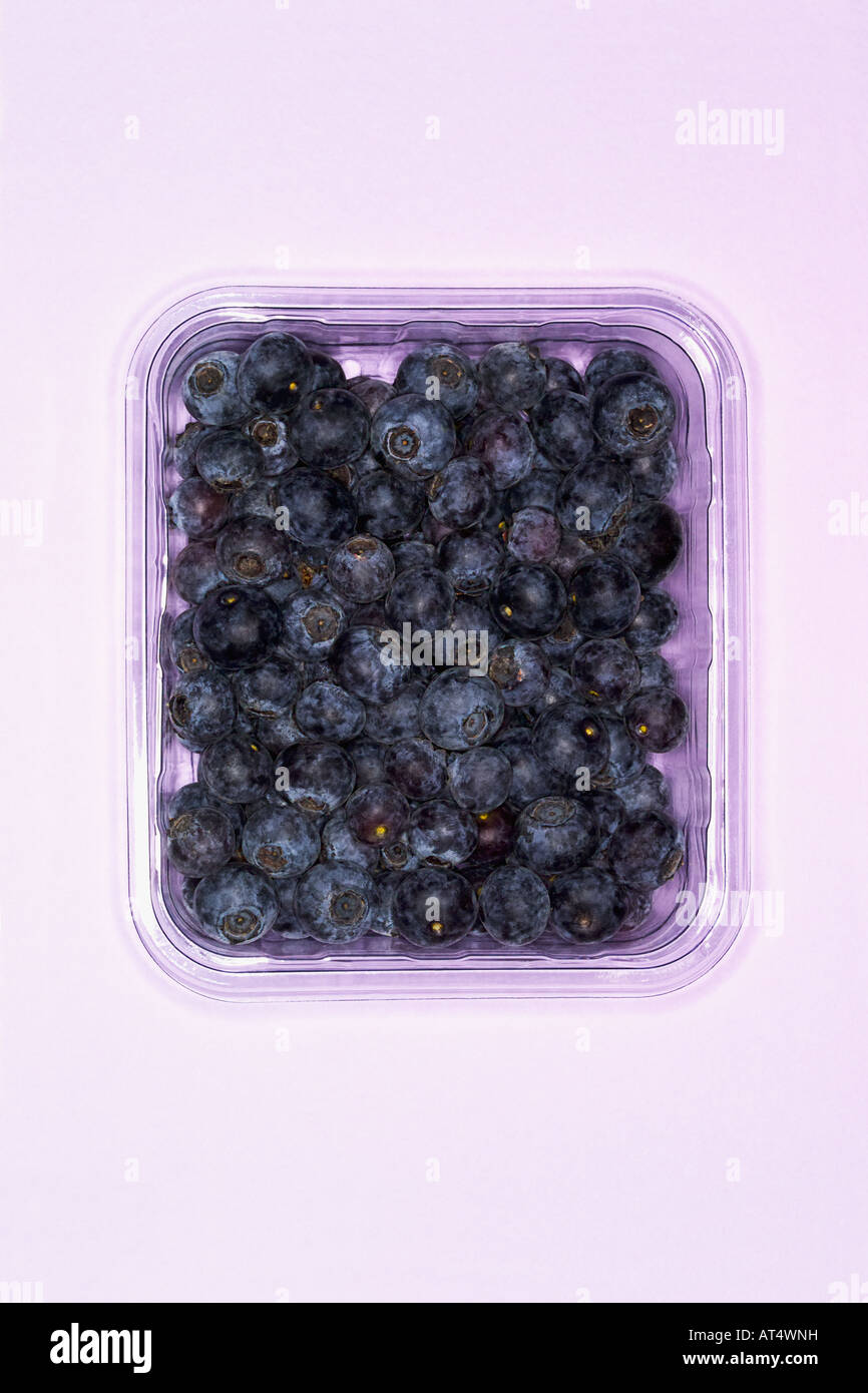 A punnet of blueberries Stock Photo - Alamy