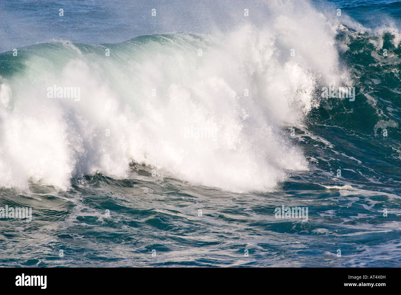 powerful ocean wave approaching coast Stock Photo - Alamy