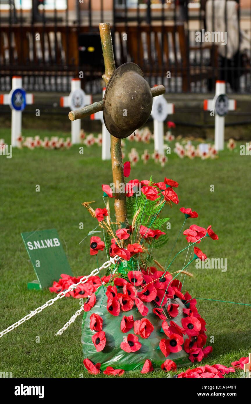 Ww1 helmet poppy hi-res stock photography and images - Alamy