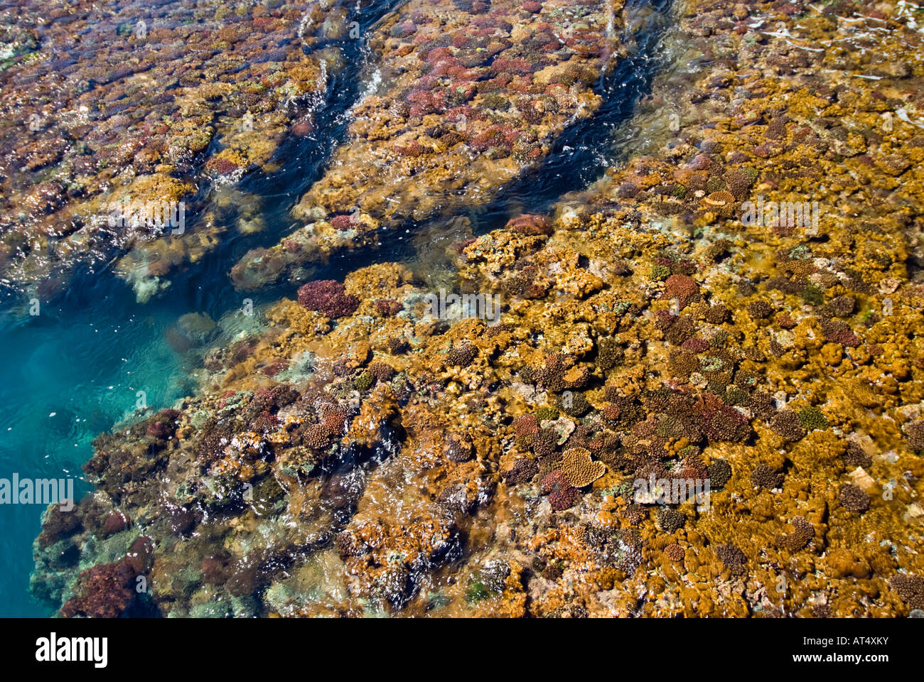 SAMOA southcoast Ocean-Trench ocean trench coast rock stone famous ...