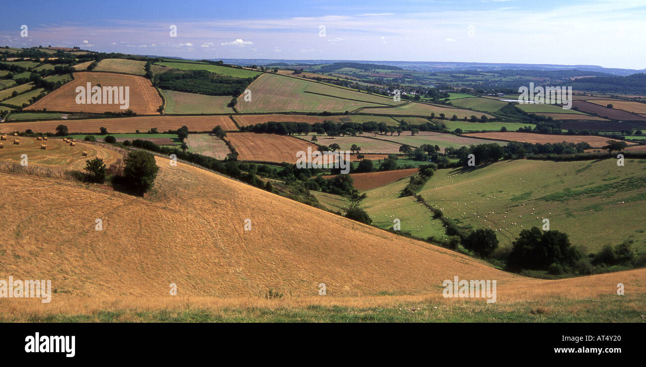 Thorverton hi-res stock photography and images - Alamy