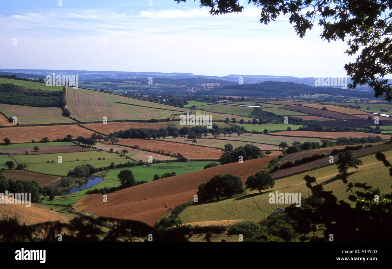 Thorverton hi-res stock photography and images - Alamy